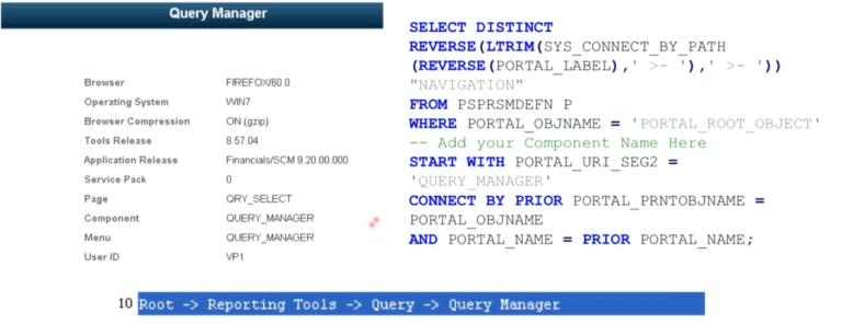 Master Query Manager: In-Depth Guide for Technical & Functional Users